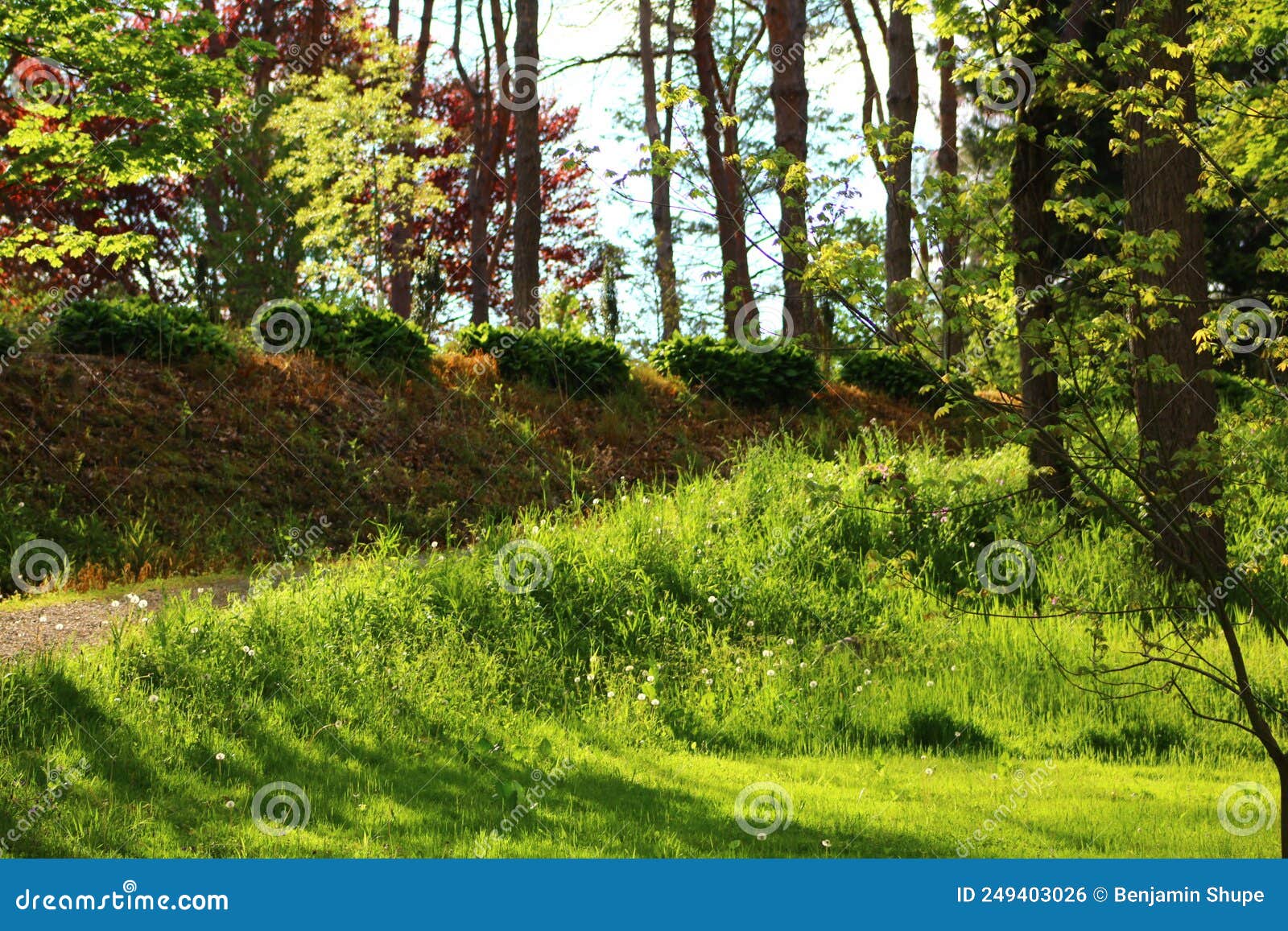 Upscale Landscaping Picture Stock Photo - Image of path, upscale: 249403026