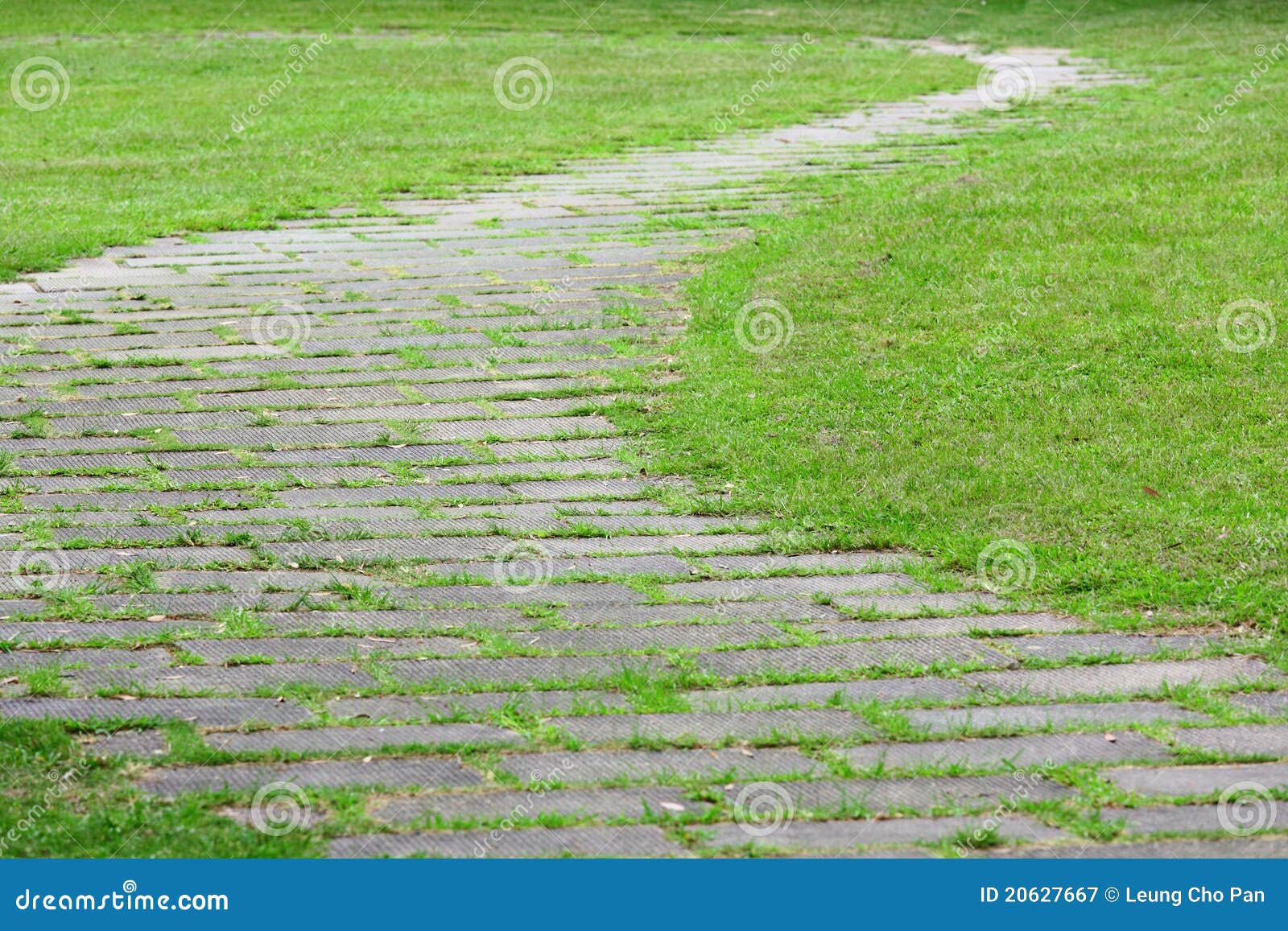 Path way on grass stock image. Image of alley, landscape - 20627667