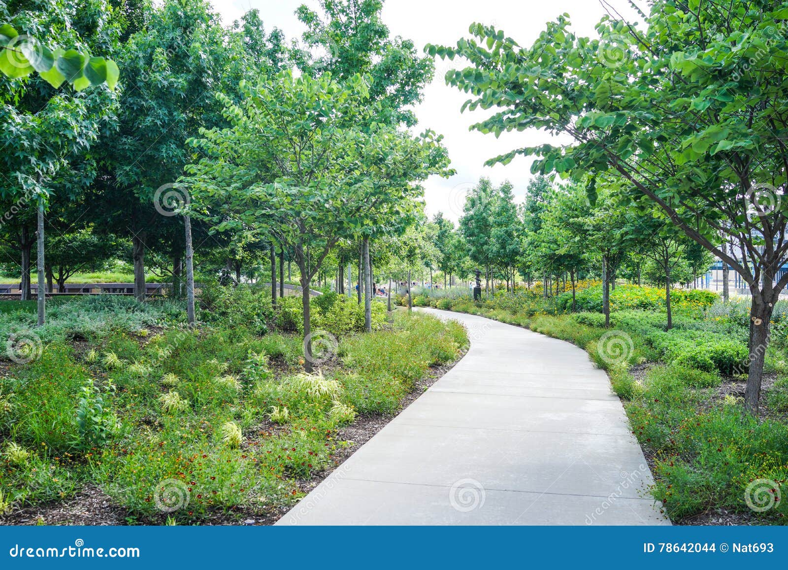 Path Way in a Park with Green Trees, Cincinnati, Ohio Stock Photo ...