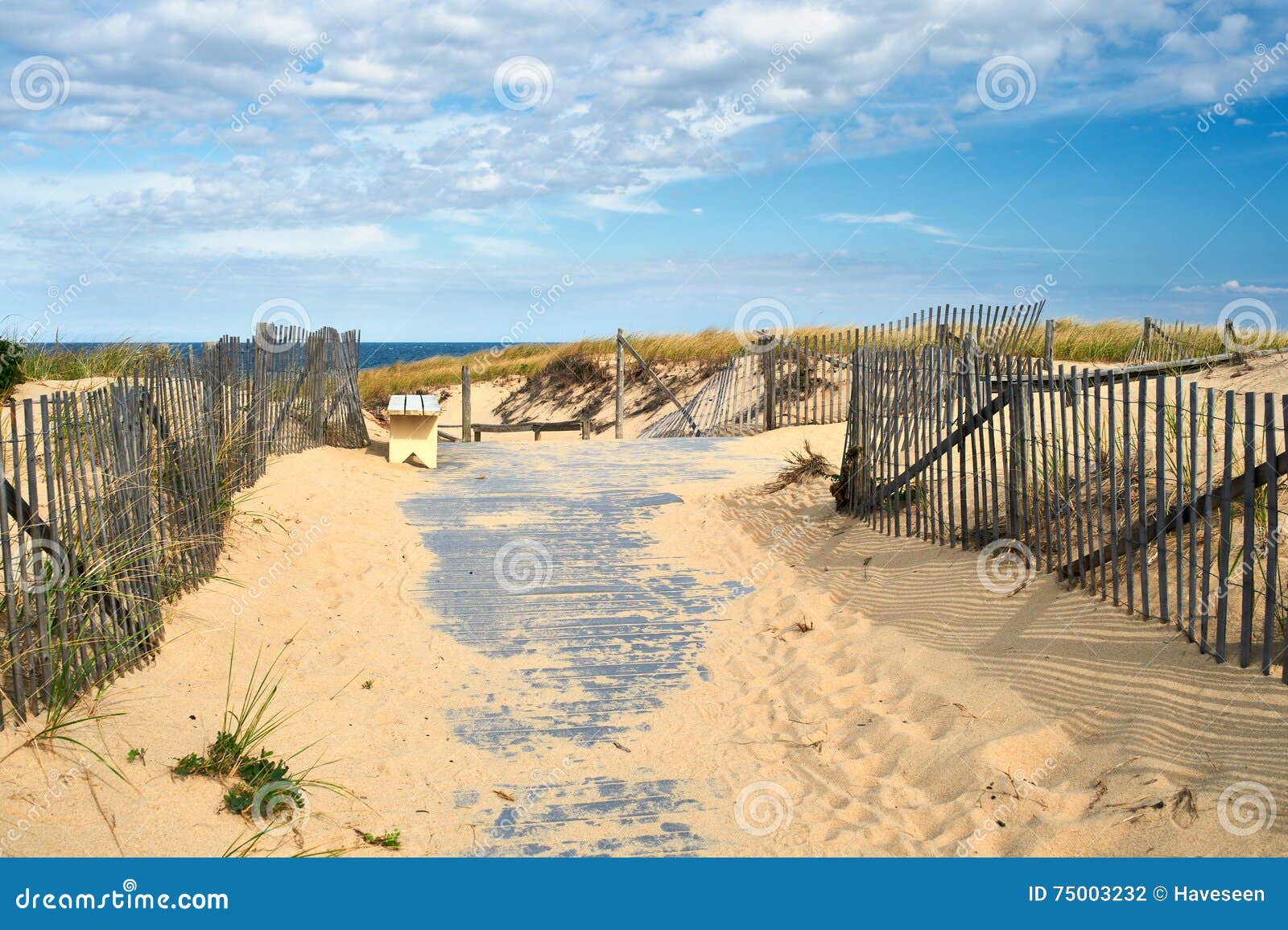 Path Way To the Beach at Cape Cod Stock Photo - Image of coastline ...