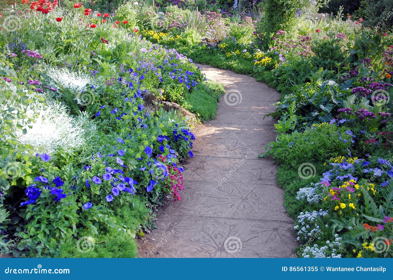 The Path Winding in Flower Garden Stock Image - Image of lawn, nature ...