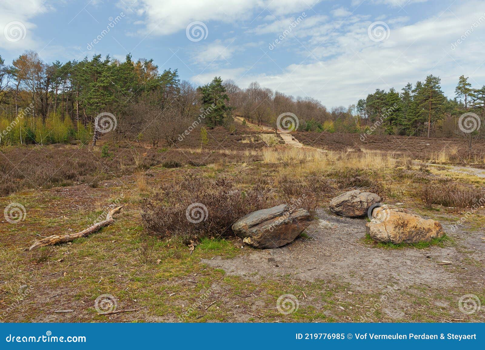 Path winding up a hill stock image. Image of flora, mechelse - 219776985