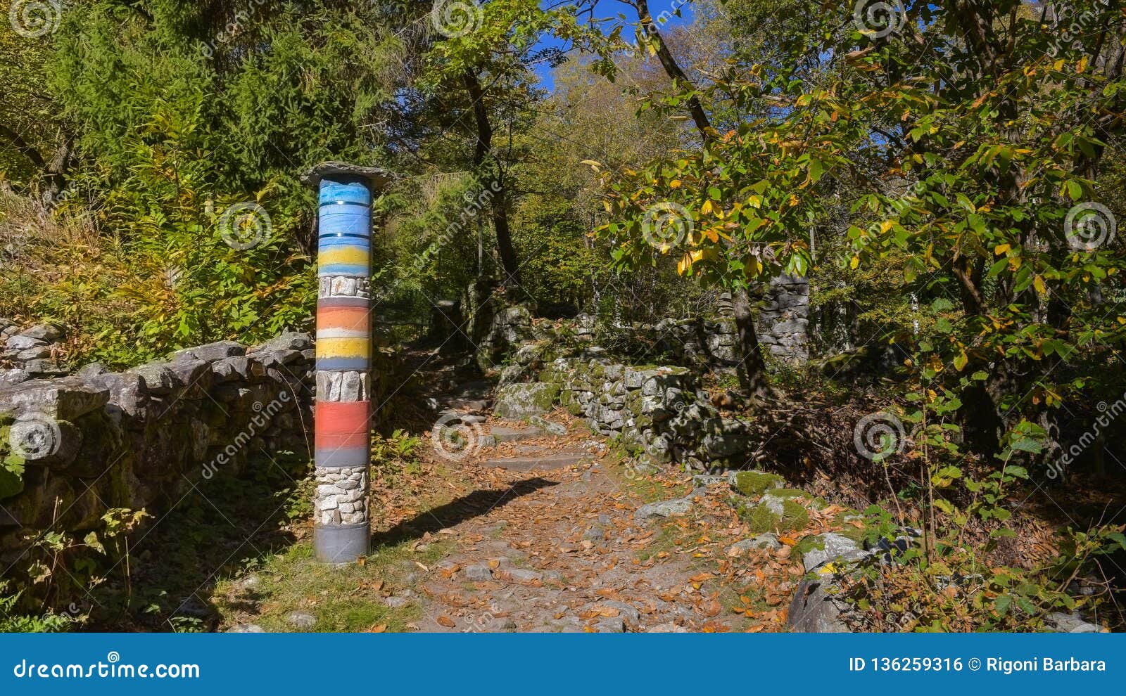 Colored pole in the woods stock photo. Image of foliage - 136259316
