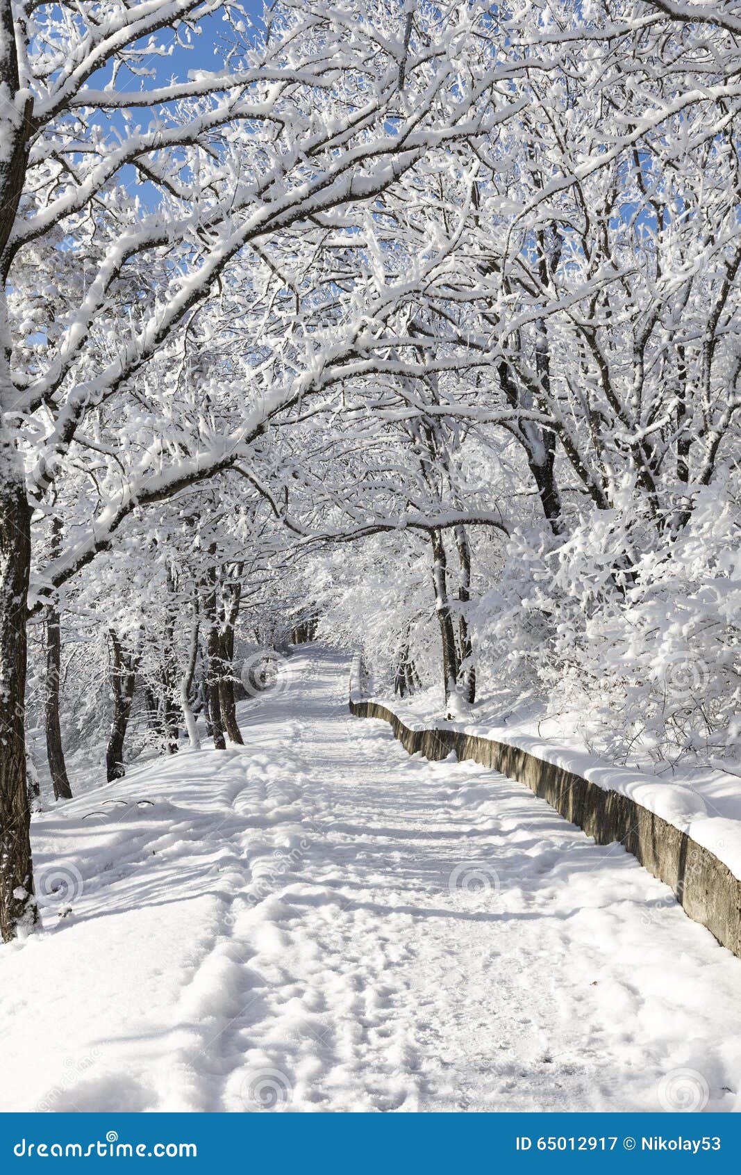 The path in winter forest. stock image. Image of paths - 65012917