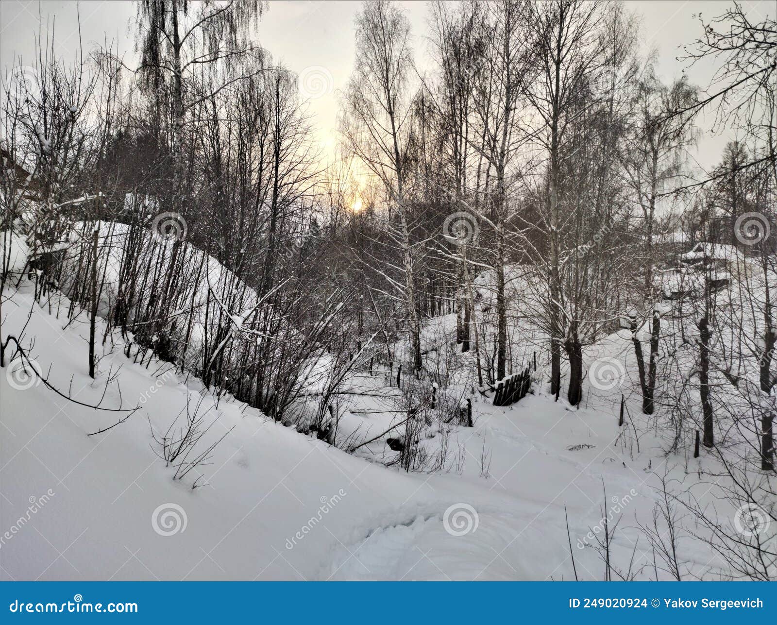 A path in a winter ravine stock photo. Image of fences - 249020924