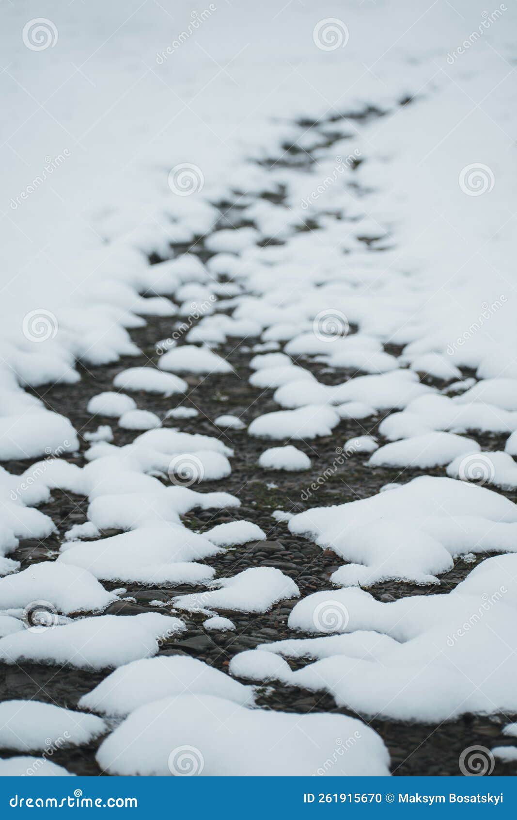 Path in winter. snowy path stock photo. Image of safe - 261915670