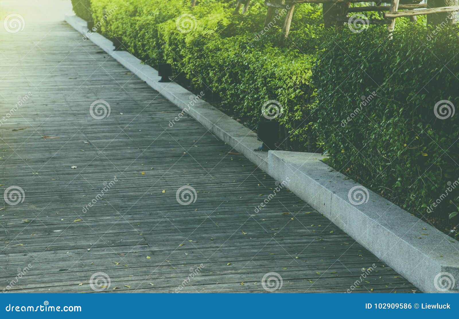 Path with wood board stock photo. Image of plank, pathway - 102909586