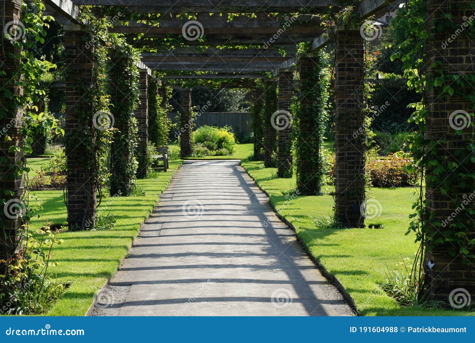 Path through the Wooden Arches Stock Photo - Image of shadow, shrubs ...