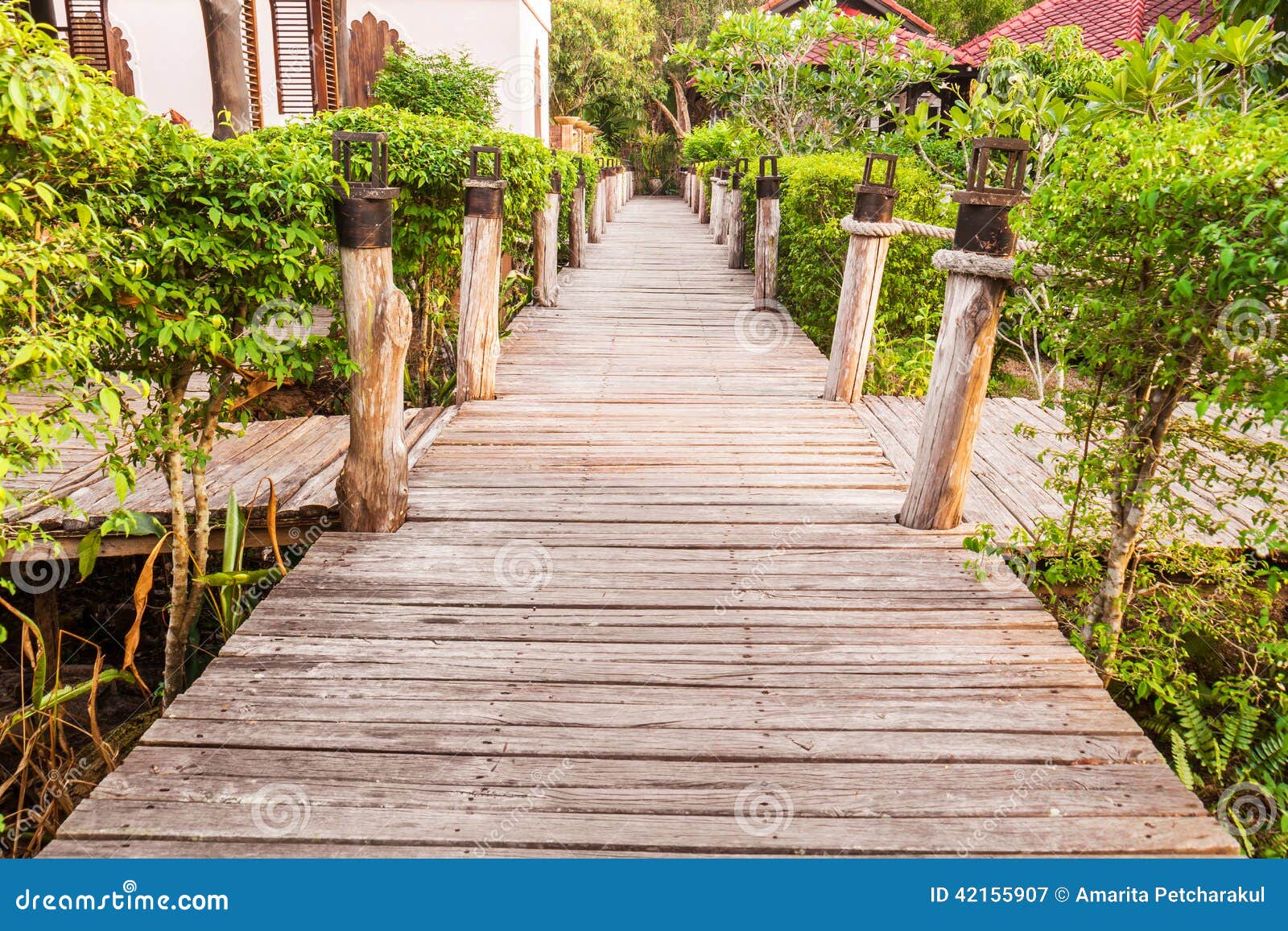 Path with wooden bridge stock image. Image of leaves - 42155907