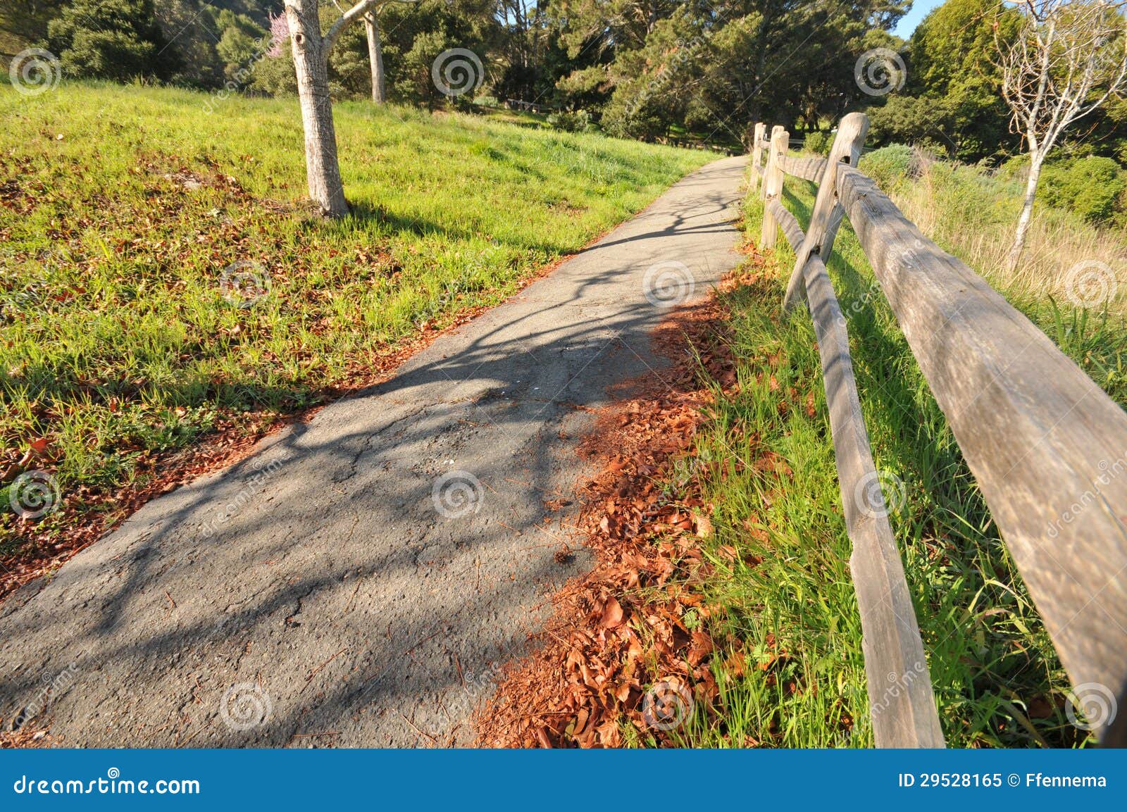 Path with a Wooden Fence and Trees Stock Image - Image of trees, leaves ...