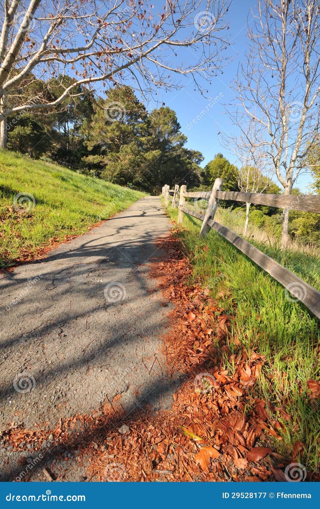Path with a Wooden Fence and Trees Stock Image - Image of trees, space ...