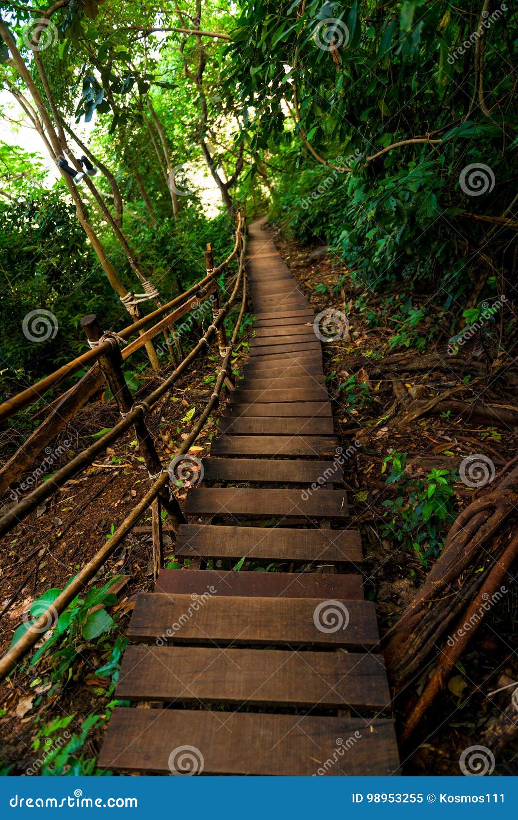 A path of wooden planks stock image. Image of hike, high - 98953255