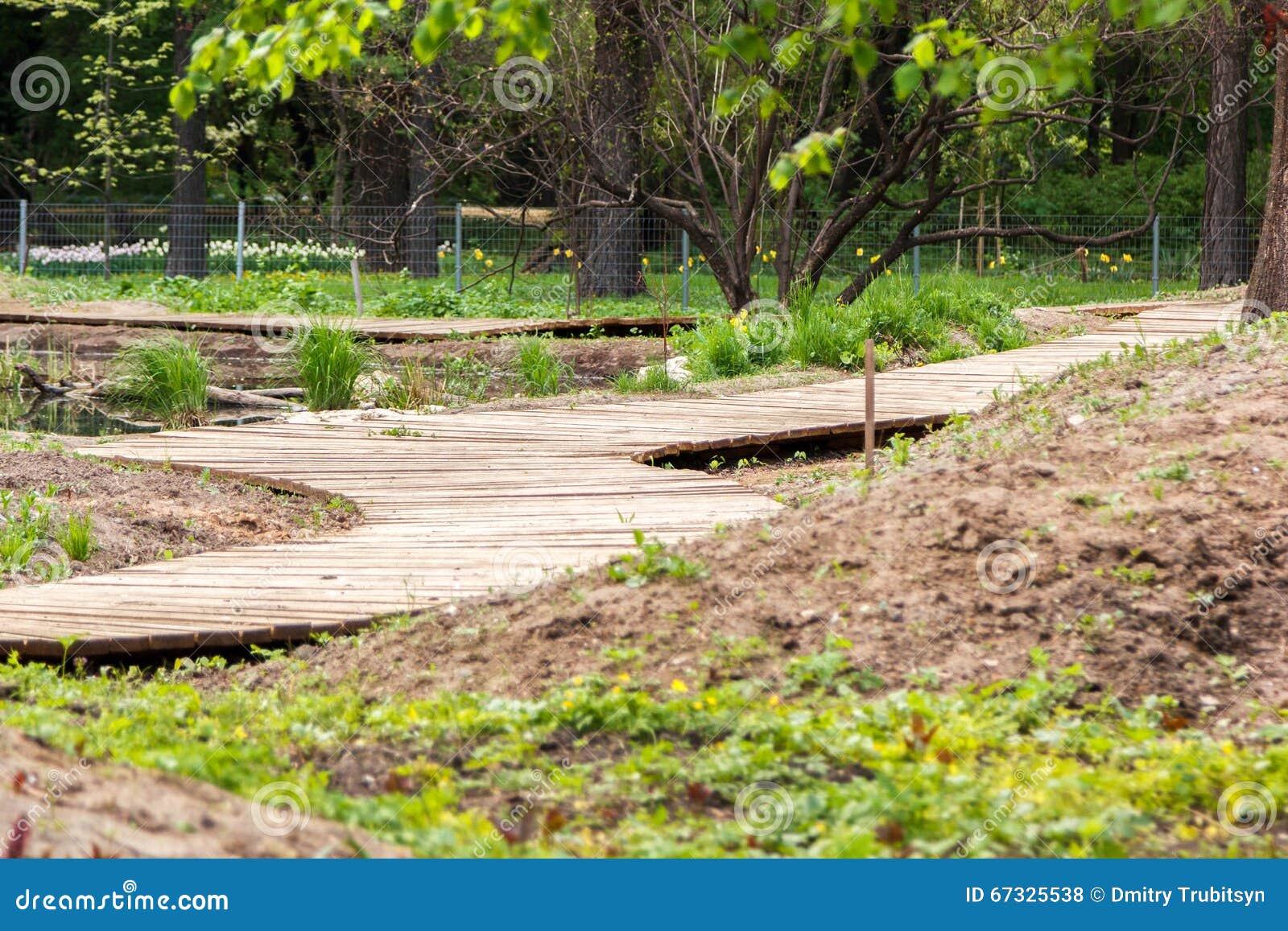 Path of Wooden Planks in Park Stock Photo - Image of grass, forest ...