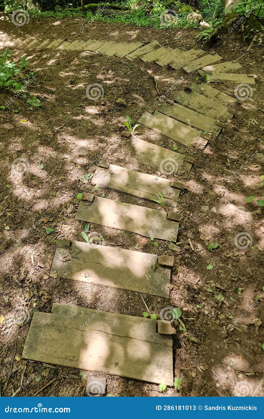Path with Wooden Steps in Sunny Day Stock Image - Image of outdoor ...