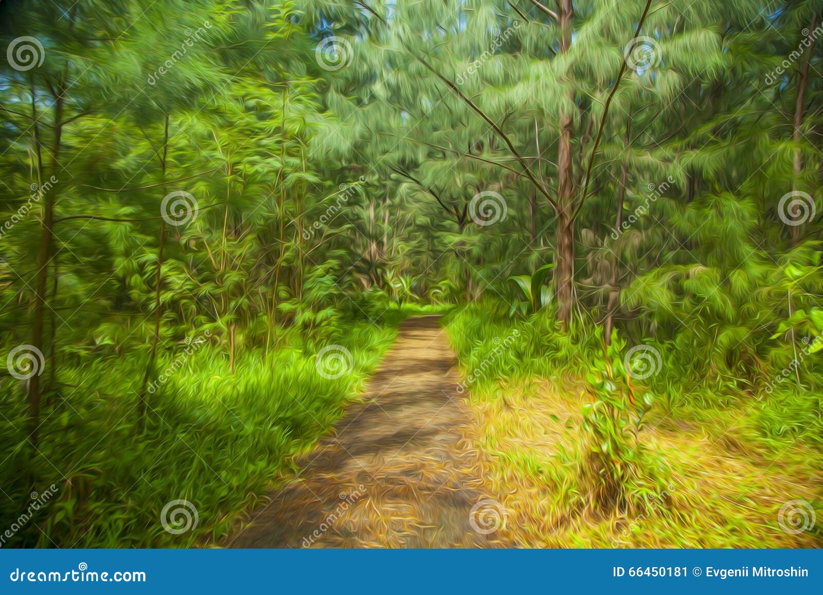 Path in the woods stock illustration. Illustration of jungle - 66450181