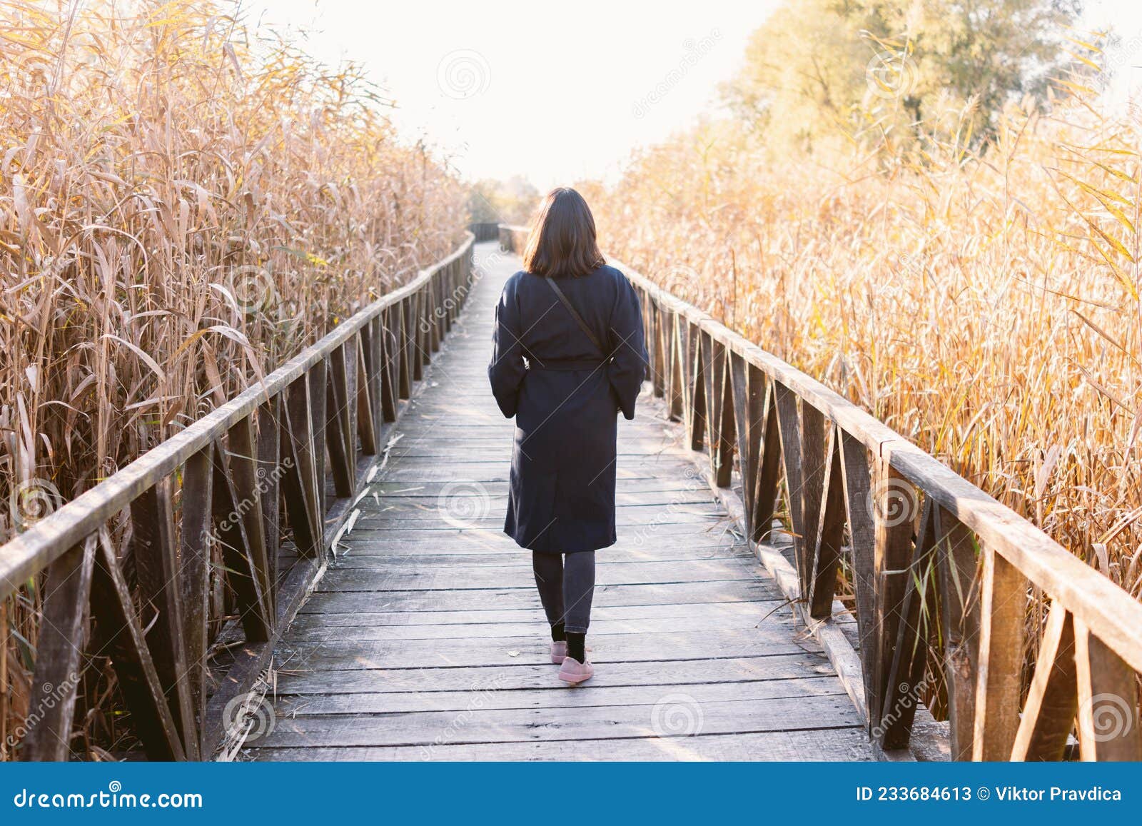 On a path stock image. Image of mysterious, human, explore - 233684613