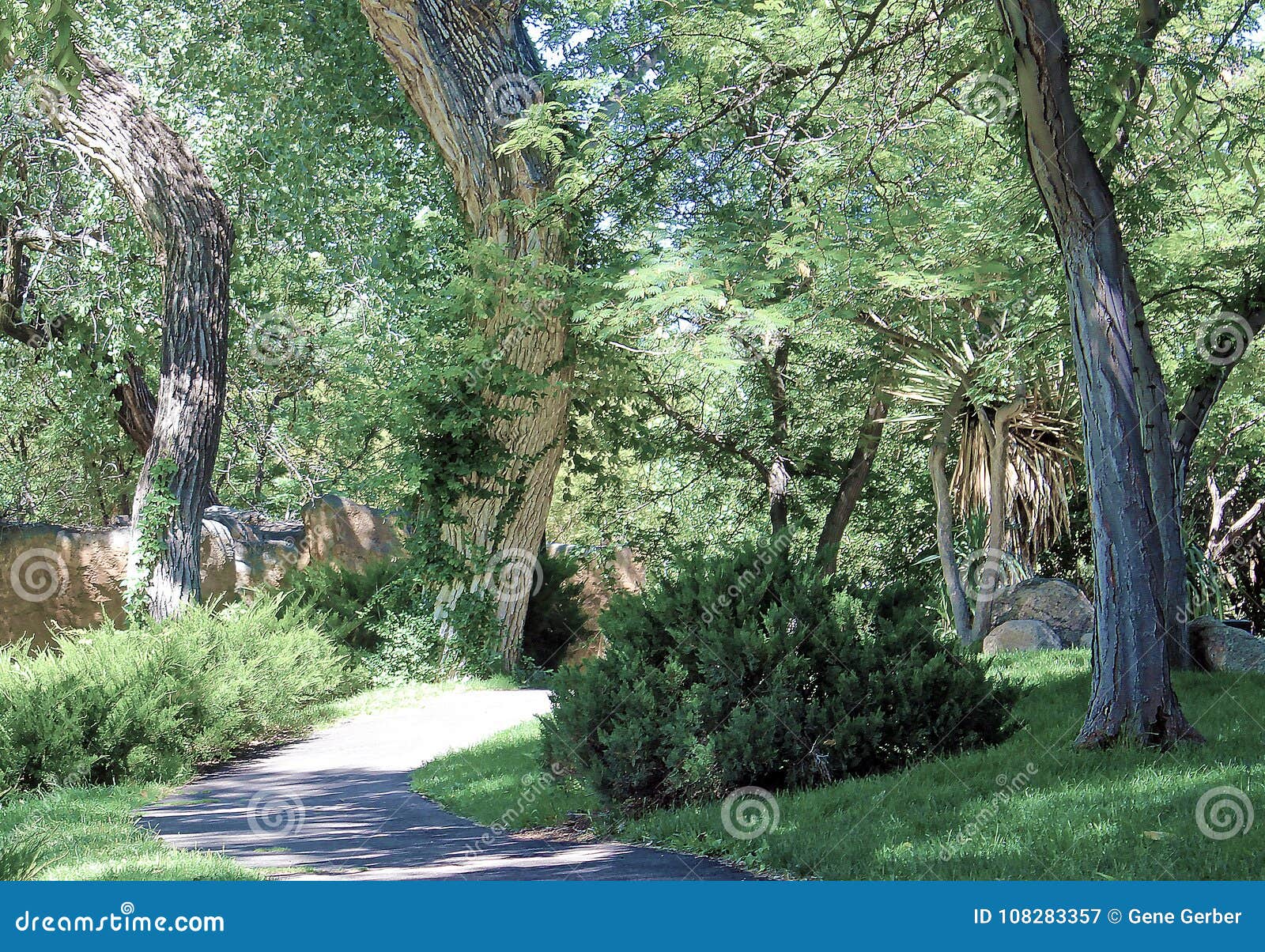 Path in Zoo stock image. Image of plants, bushes, pathway - 108283357