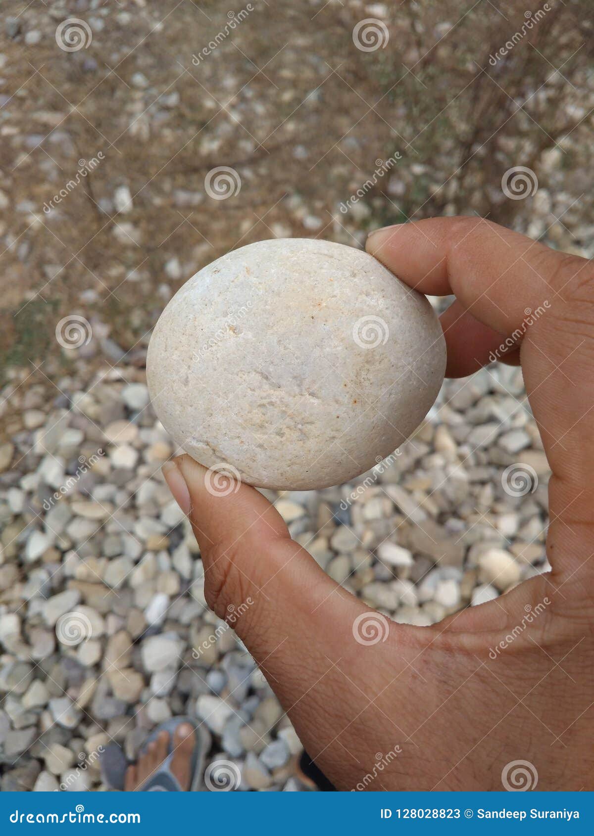 Pathar imagen de archivo. Imagen de melena, lindo - 128028823