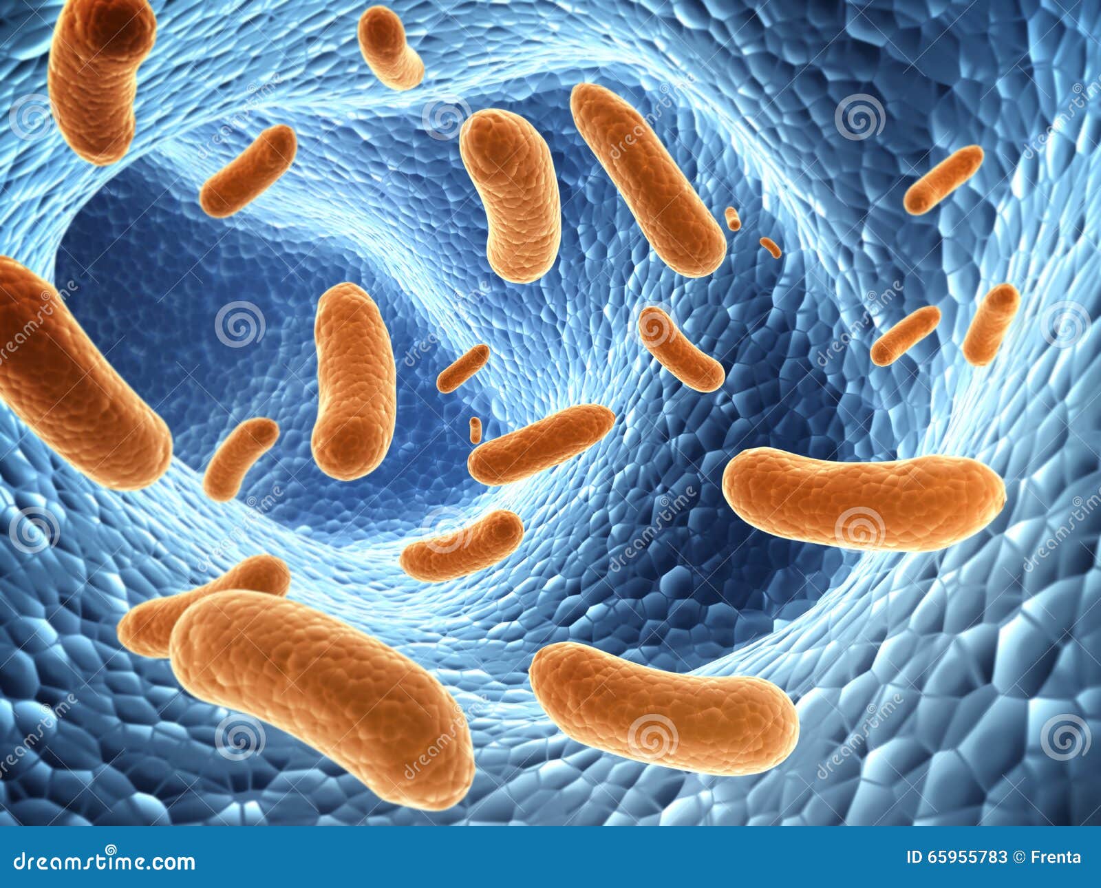 Pathogen bacteria stock illustration. Illustration of medical - 65955783