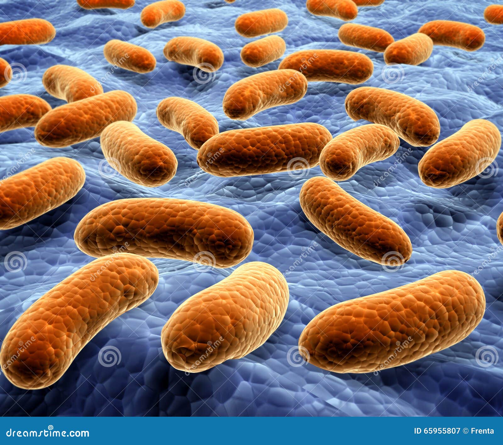 Pathogen Bacteria on the Surface Stock Illustration - Illustration of ...