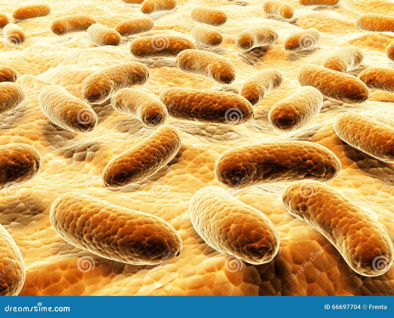 Pathogen Bacteria on the Surface Stock Illustration - Illustration of ...