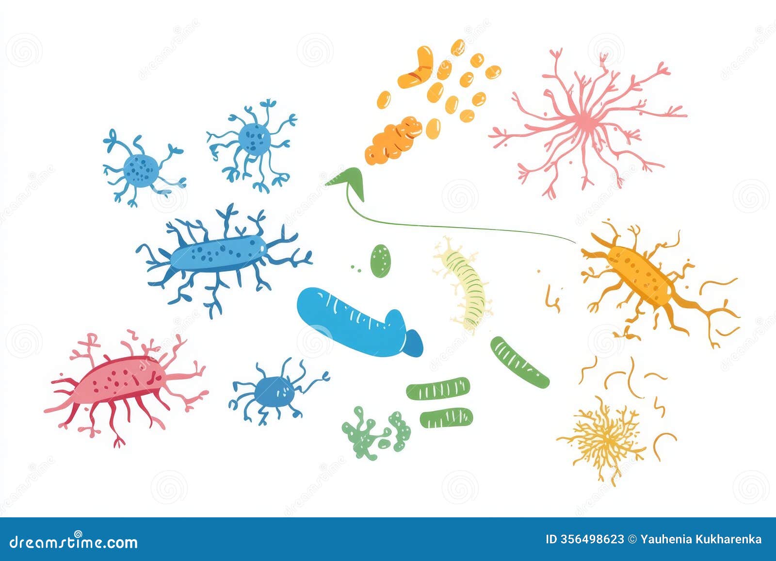 Pathogen Lifecycle in Diarrhea Stock Illustration - Illustration of ...