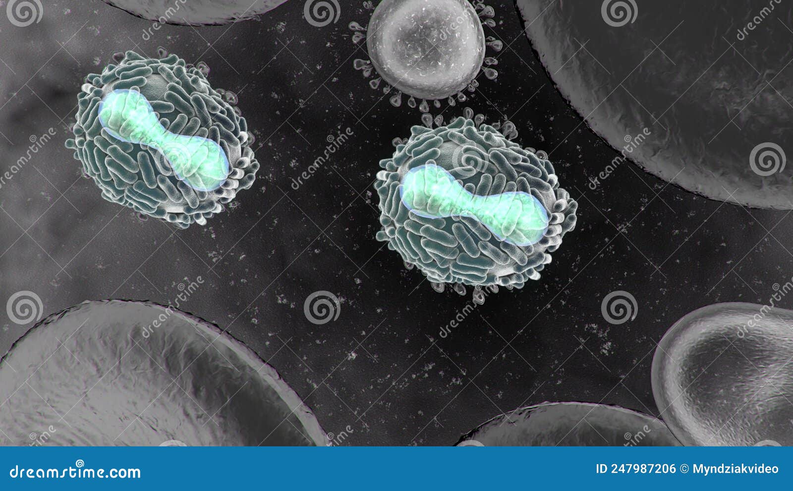 Pathogen Outbreak of Bacterium and Pox Virus, Disease Causing ...