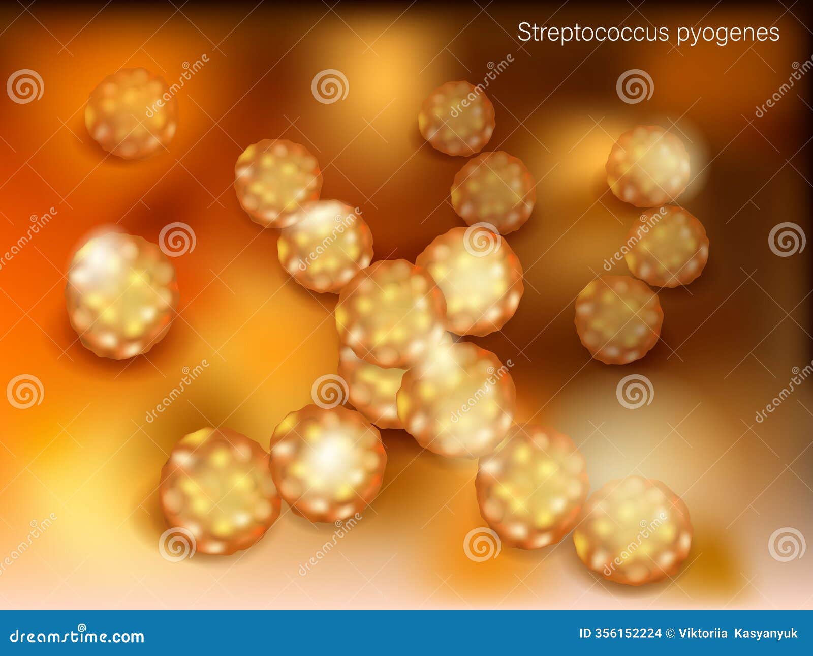 Pathogen Streptococcus Pyogenes Under Microscopic View. Detailed ...