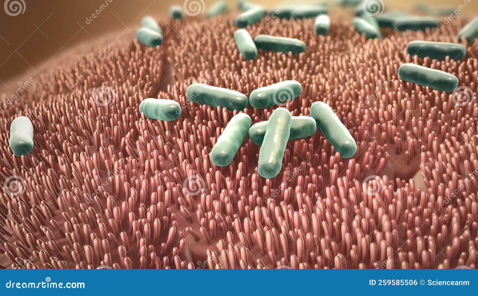 Pathogenic Bacteria Stock Image | CartoonDealer.com #29529205