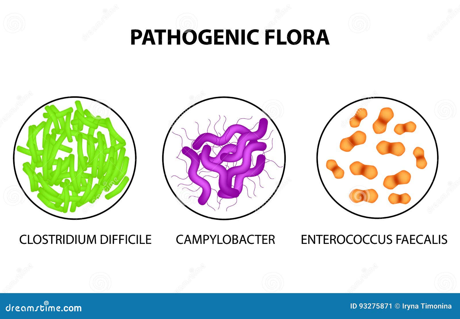 Clostridium Difficile Bacteria Royalty-Free Cartoon | CartoonDealer.com ...