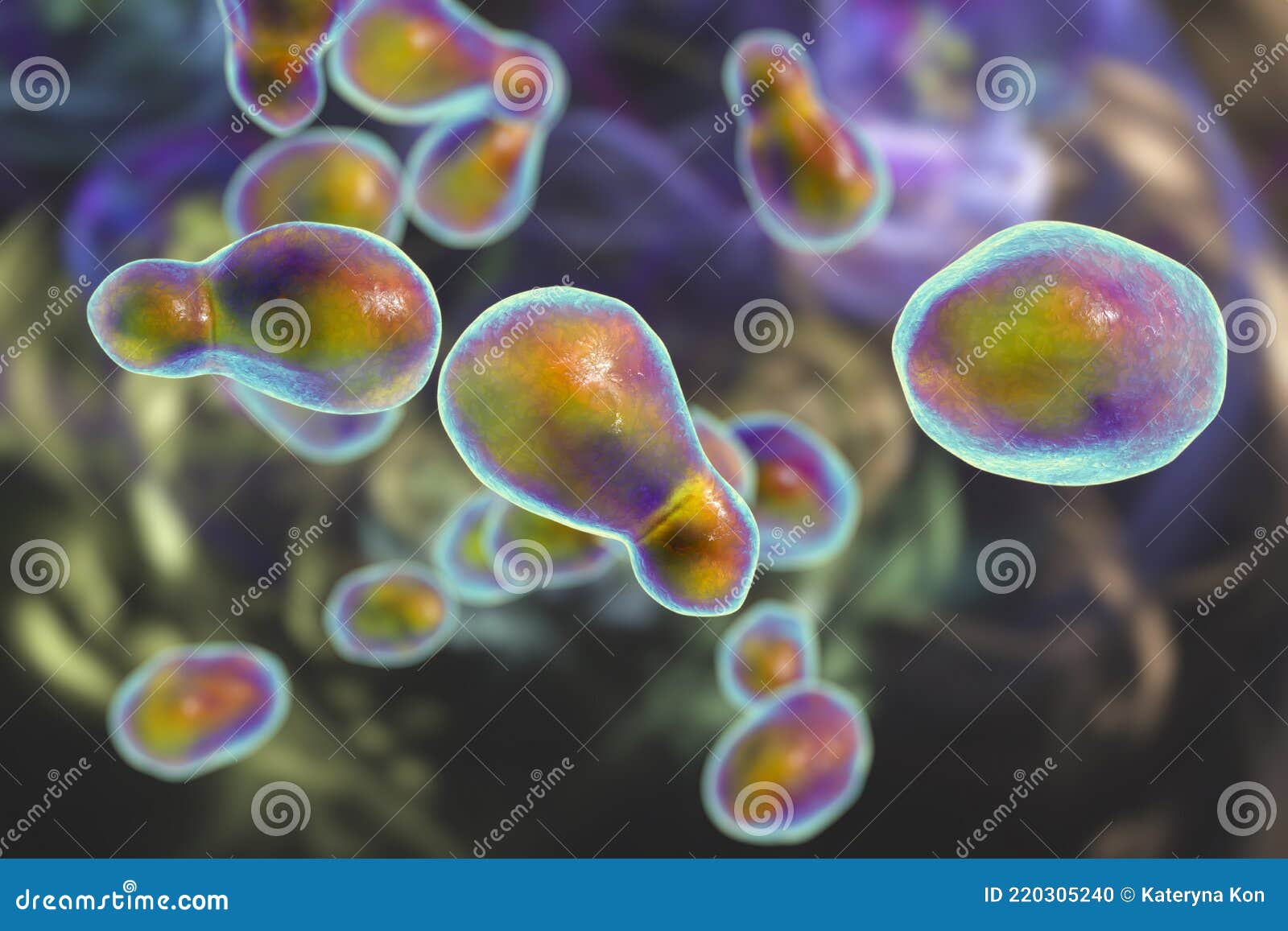 Pathogenic Yeast Fungus Cryptococcus Neoformans Which Causes ...
