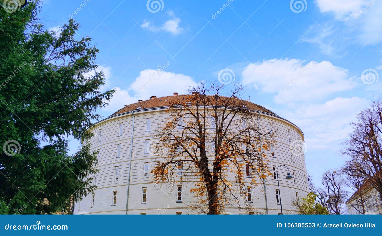 Pathological-anatomical Collection in `narrenturm` Stock Image - Image ...