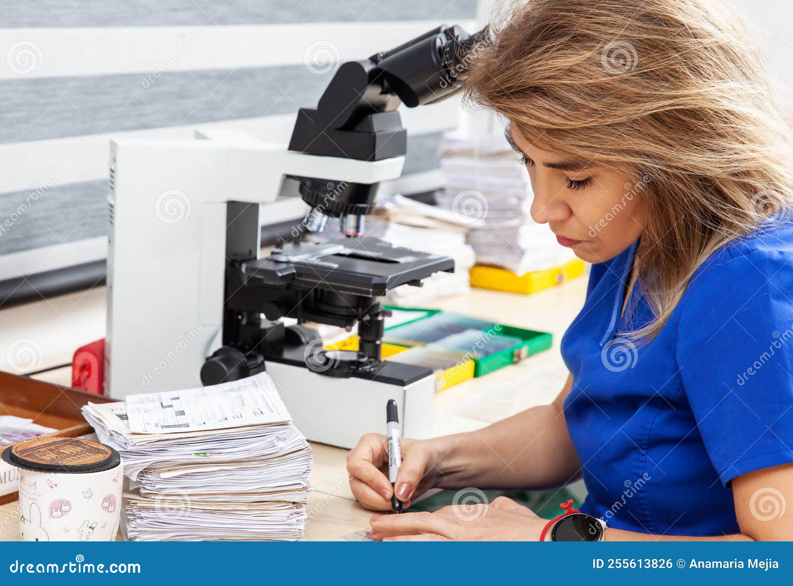 Pathologist Working with Stained Tissue Biopsy on Glass Slides in the ...