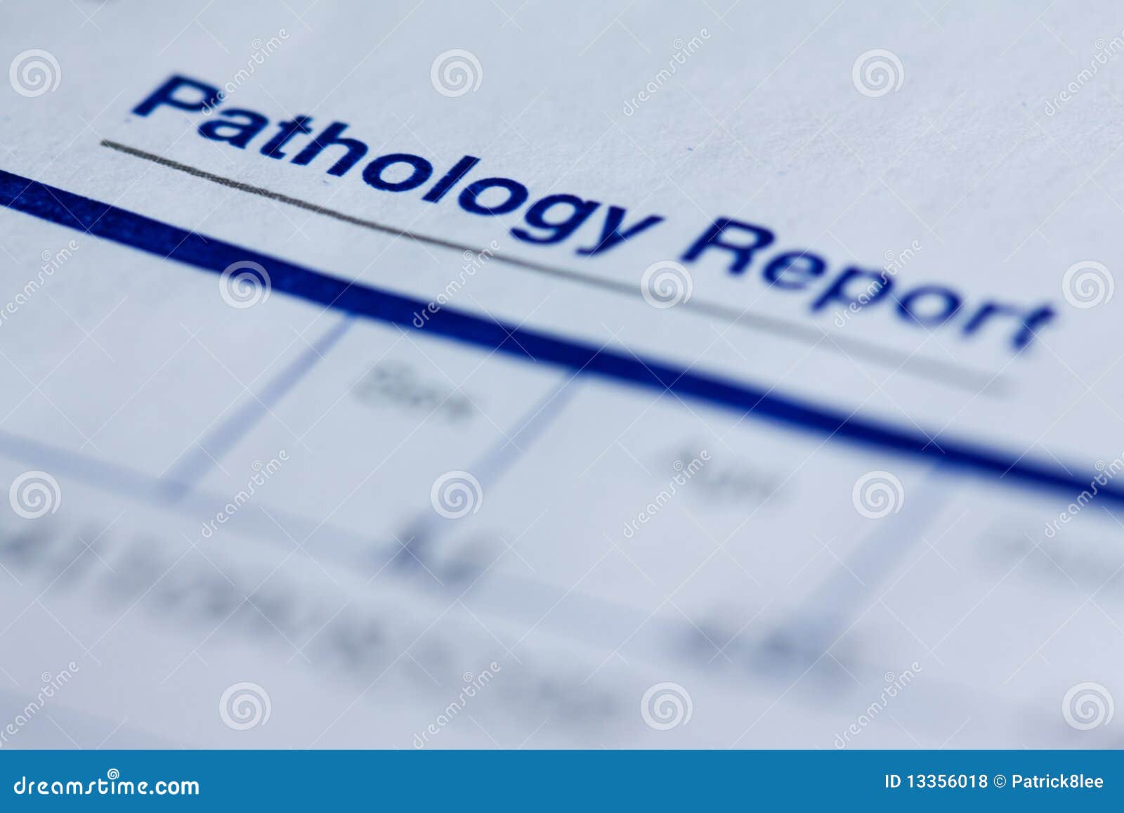 Pathology report stock photo. Image of health, examination - 13356018