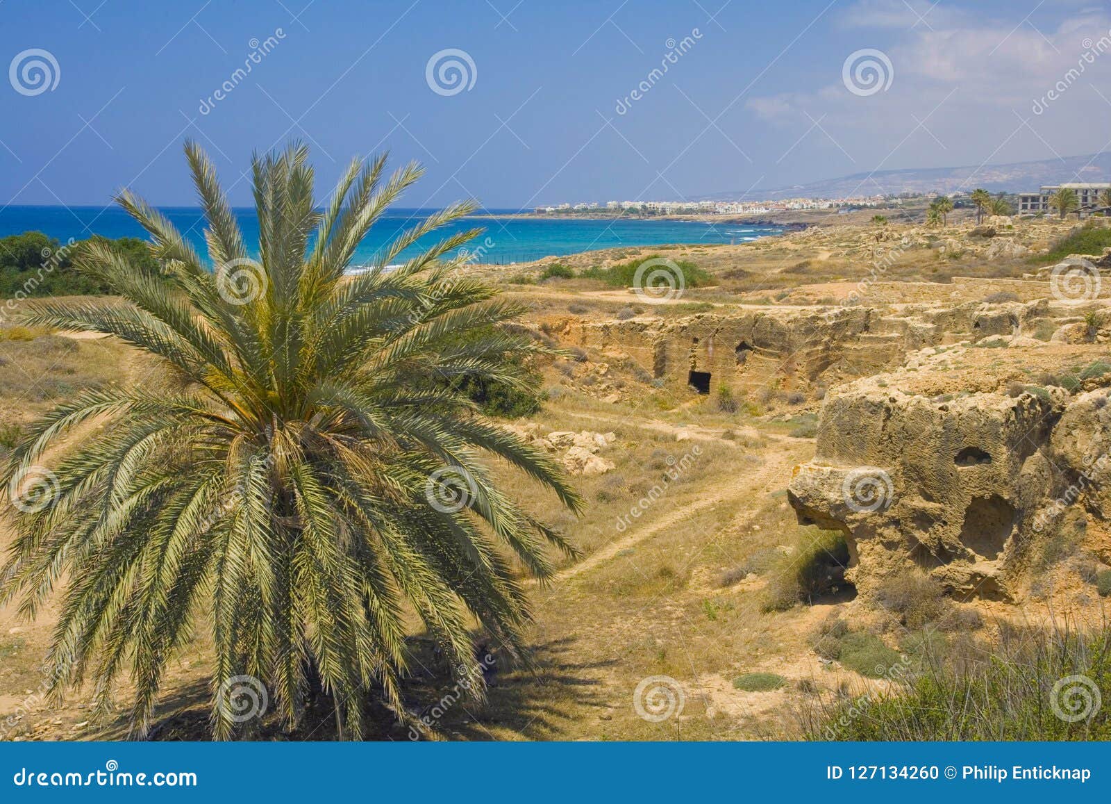 PATHOS, CYPRUS stock foto. Image of palm, toeristen - 127134260