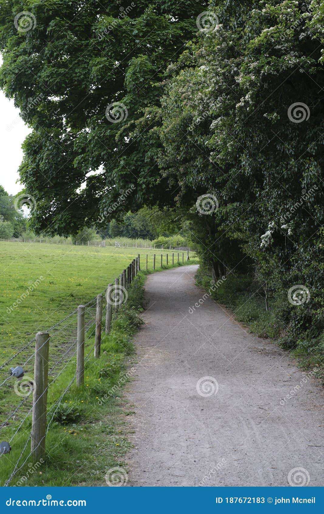 Paths around a field stock image. Image of surrounded - 187672183