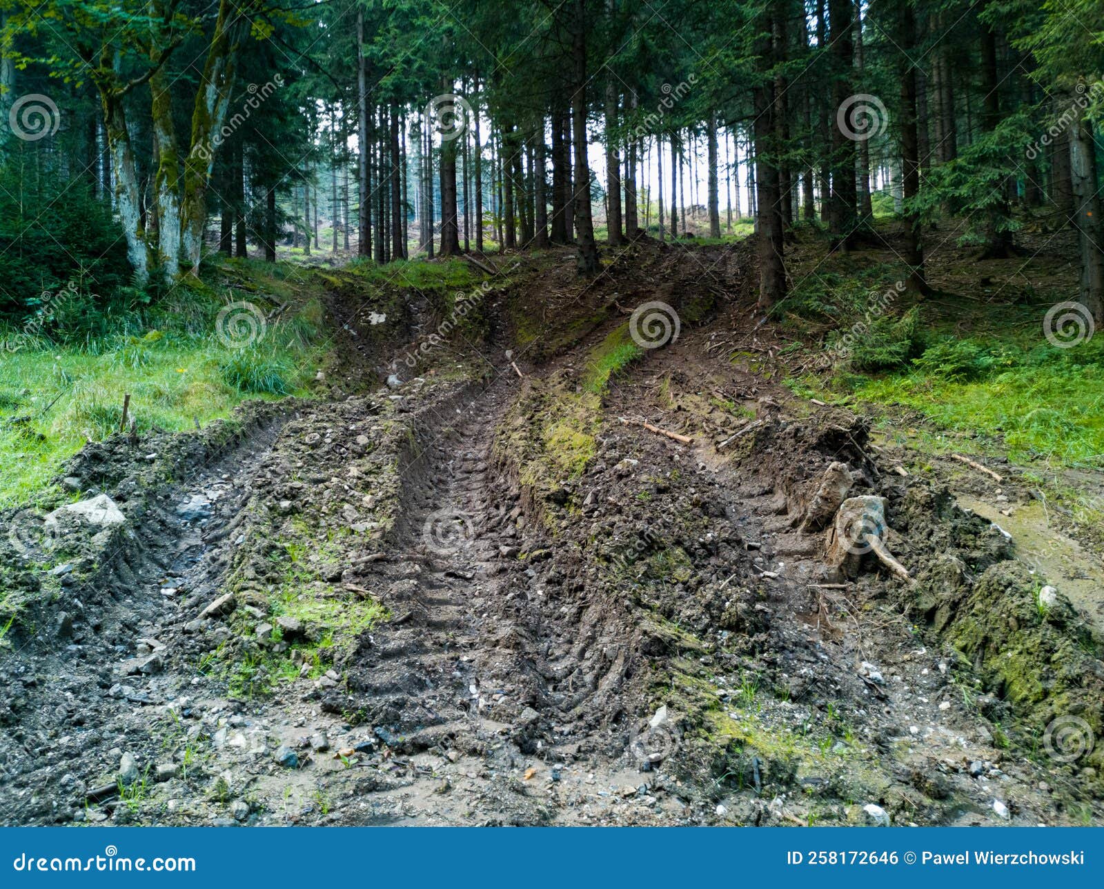 Paths Next To Mountain Trail Full of Mud Made by Vehicle Stock Photo ...