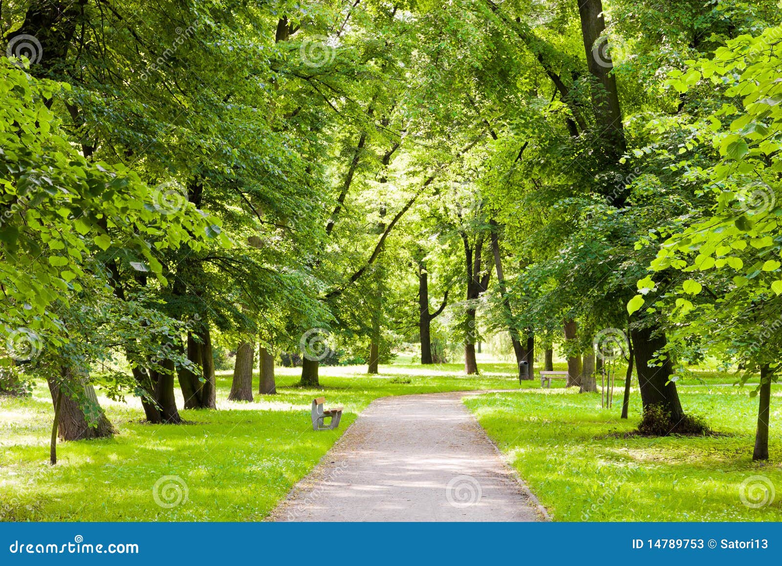 Paths in the park stock image. Image of horizon, mood - 14789753