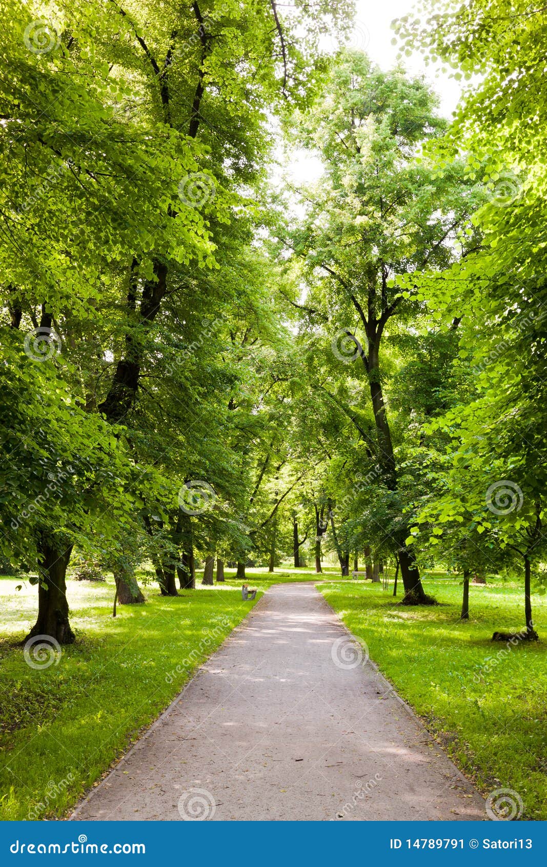Paths in the park stock image. Image of green, natural - 14789791