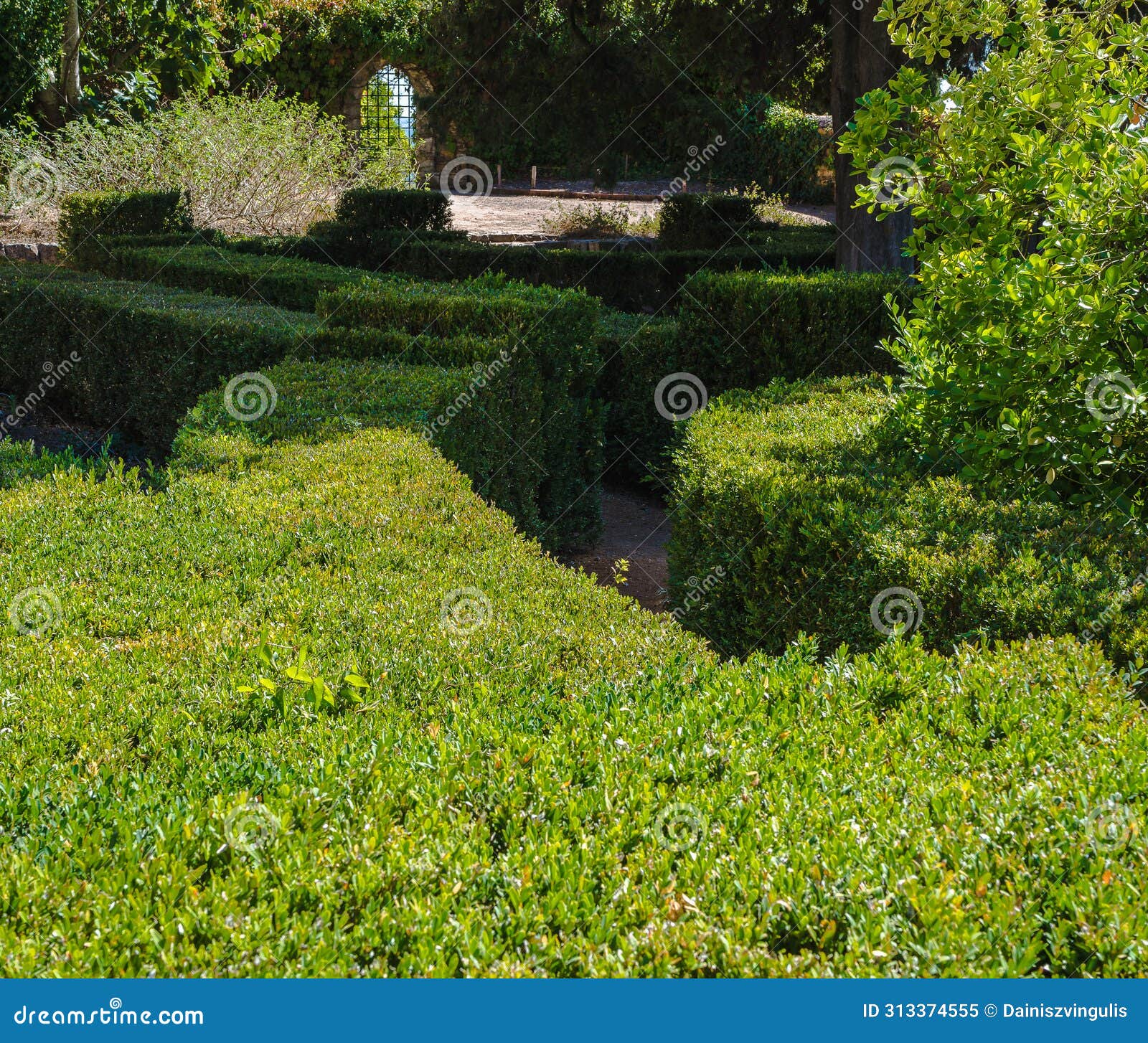 Greenery of the Park with Shaped Trimmed Bushes. Stock Image - Image of ...