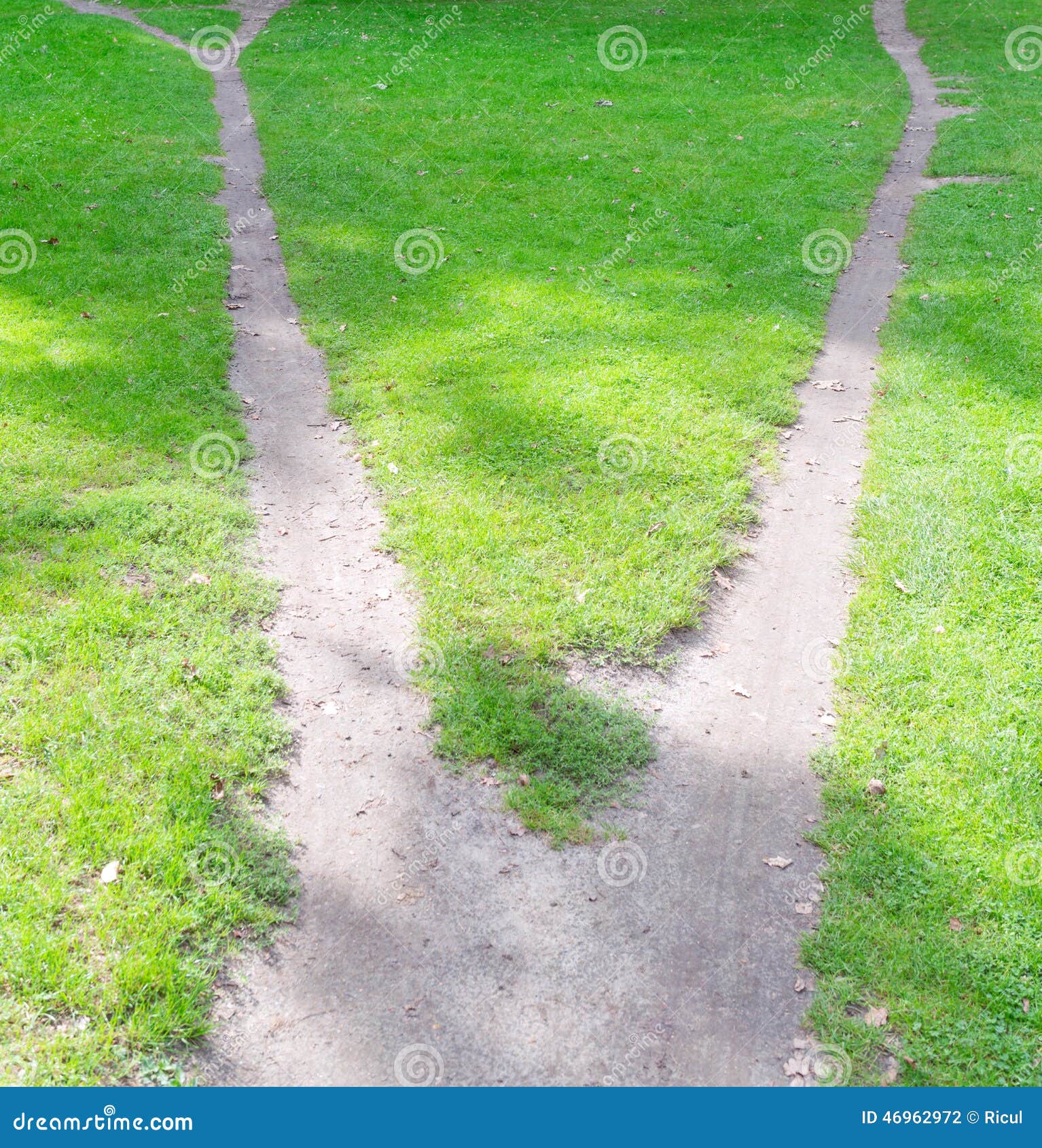 Paths stock photo. Image of pathway, color, grass, summer - 46962972