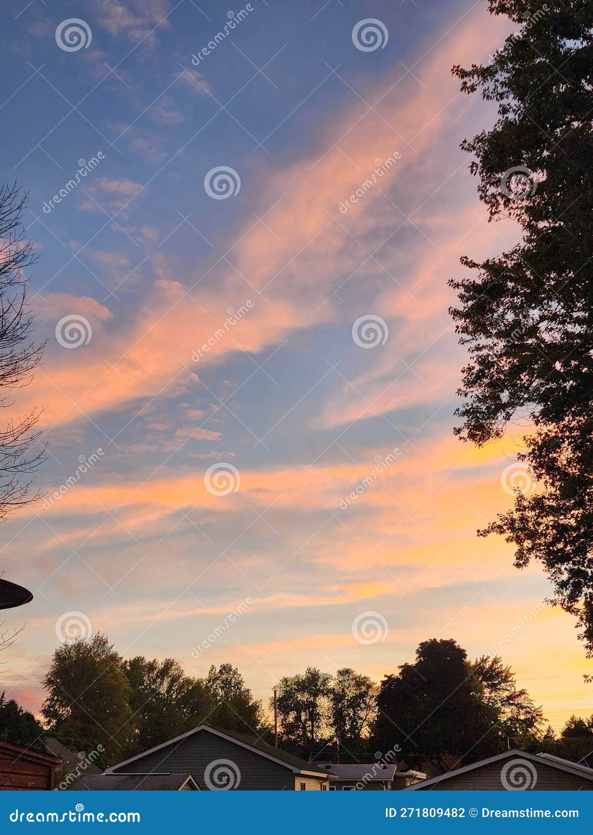 Paths in the sunset sky stock photo. Image of leaf, prairie - 271809482