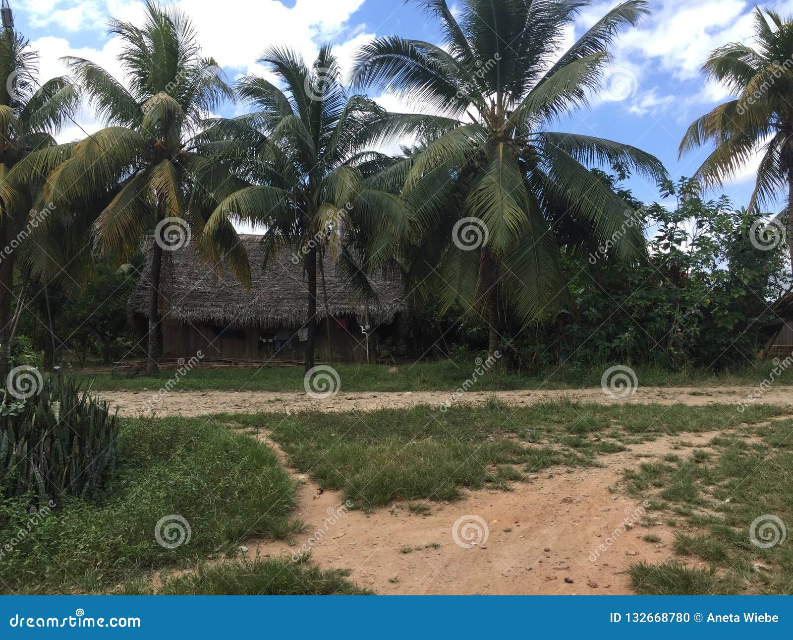 Village pathways stock photo. Image of village, trees - 132668780