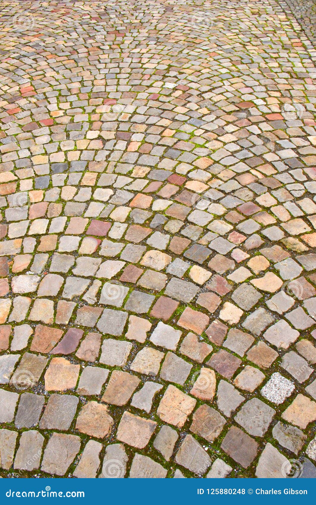 Cobble surfaced walkway stock photo. Image of cobbles - 125880248