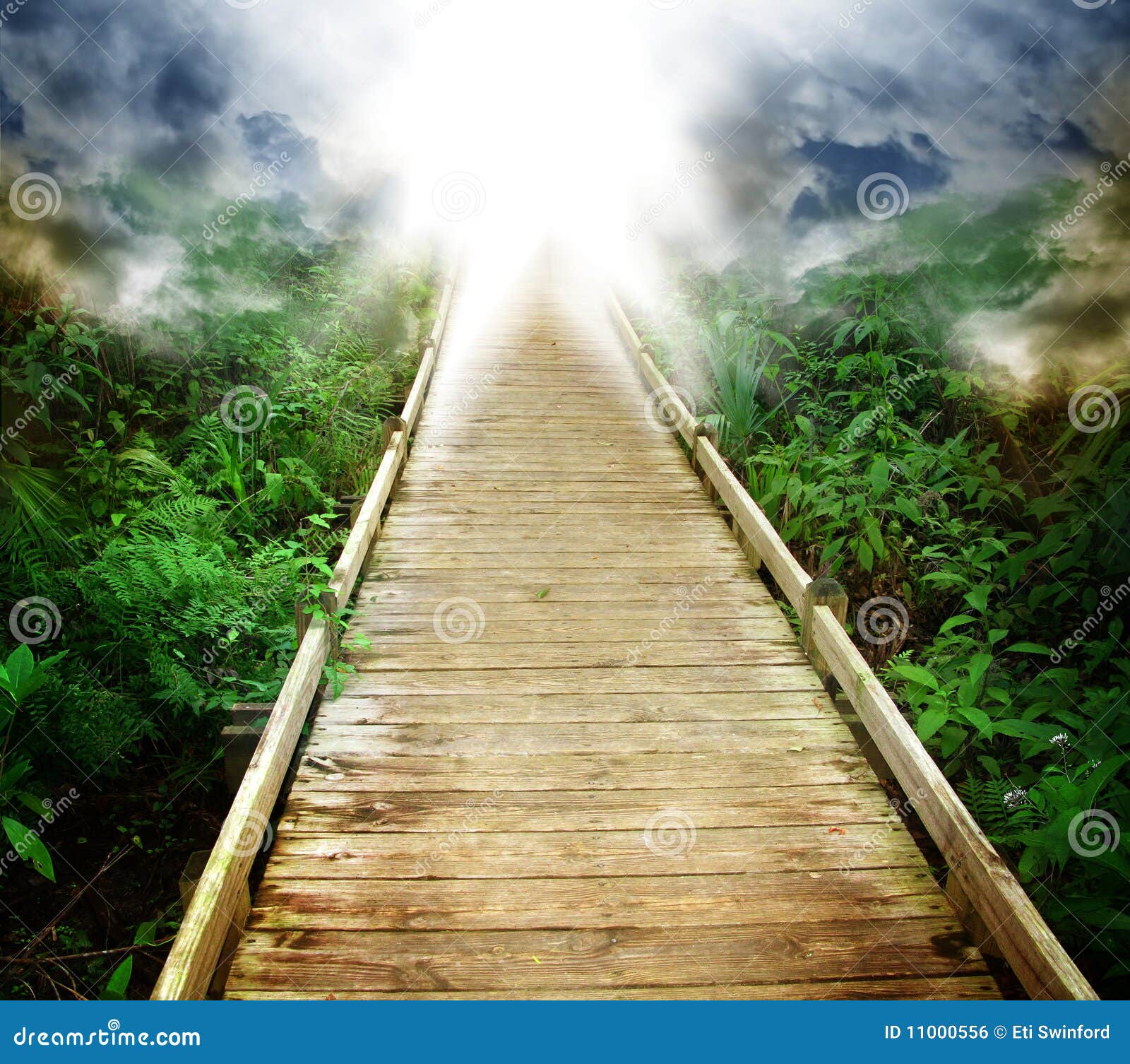 Pathway Stock Photography | CartoonDealer.com #50752940