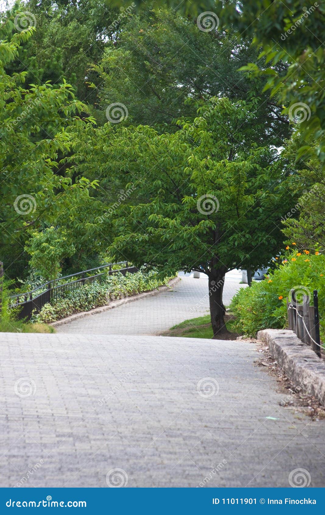 Pathway stock image. Image of narrow, nature, spring - 11011901