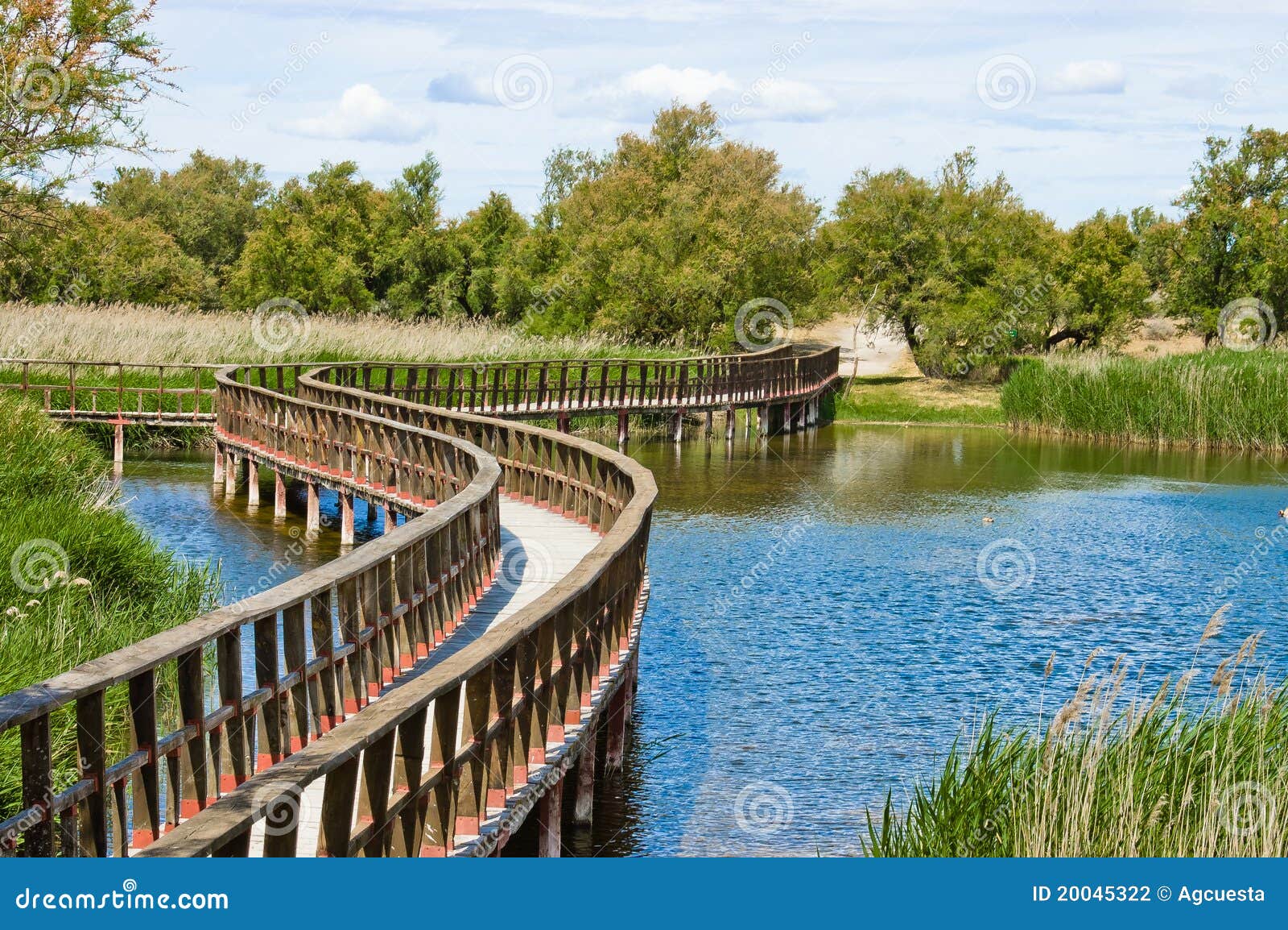 Pathway stock photo. Image of path, peace, bridge, alone - 20045322