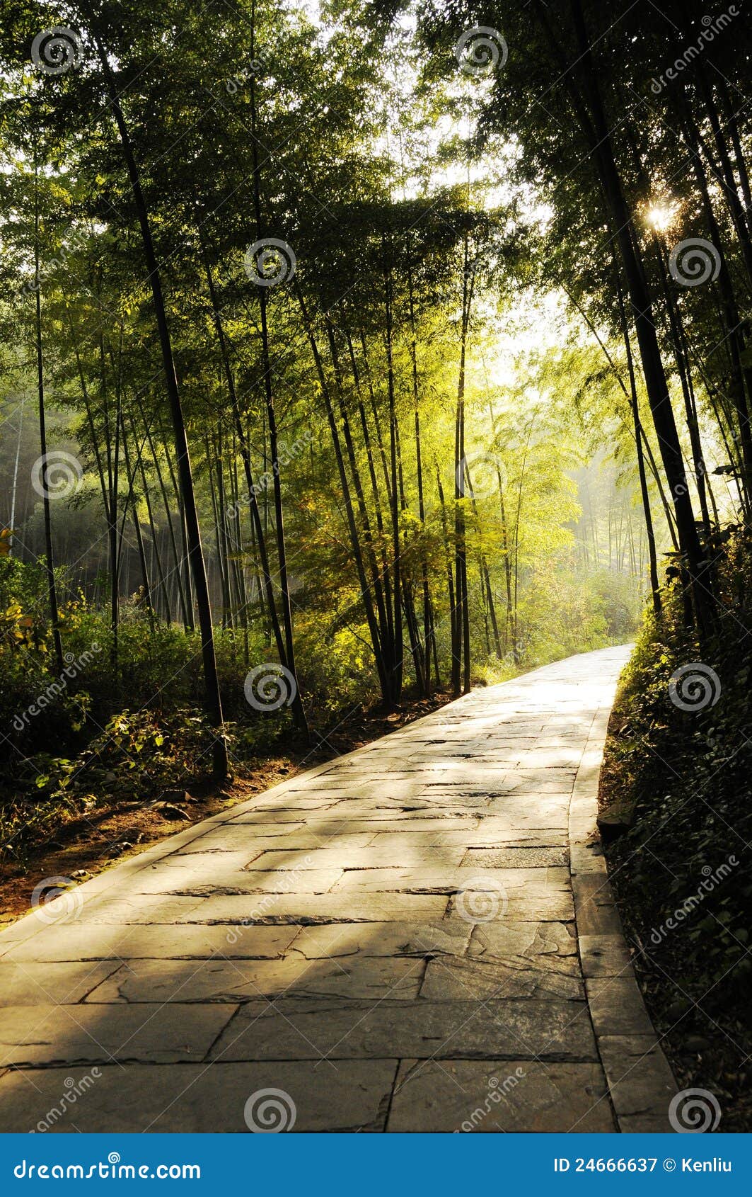 Pathway stock image. Image of natural, path, landscape - 24666637