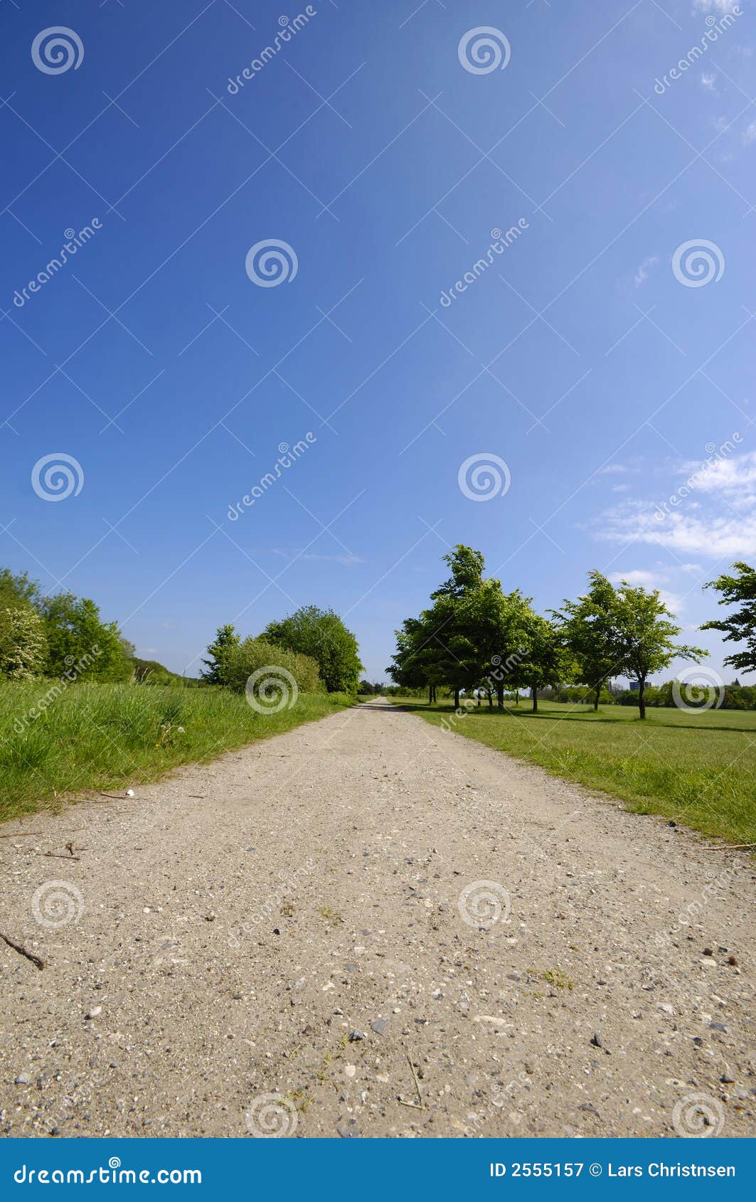Pathway stock image. Image of outside, abstract, lonely - 2555157