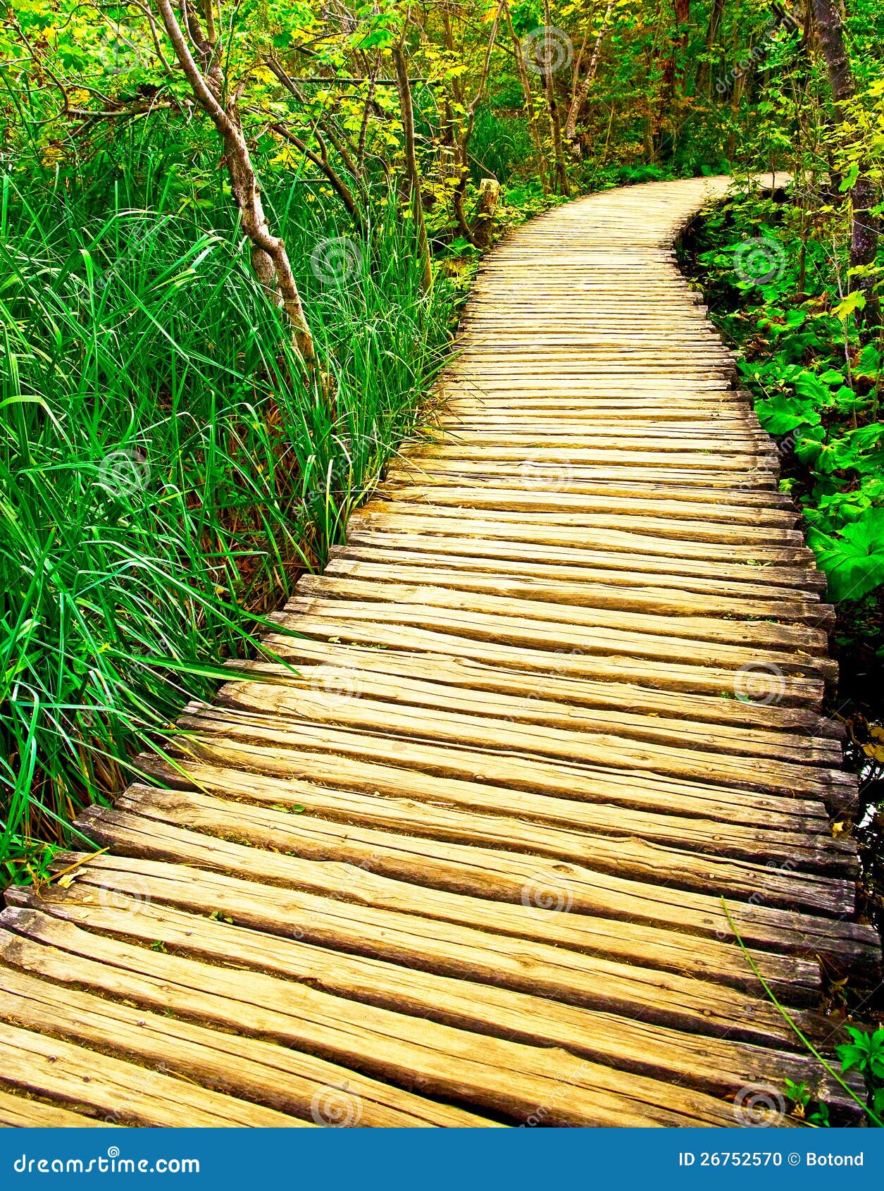 Pathway stock photo. Image of lost, harmony, europe, growth - 26752570